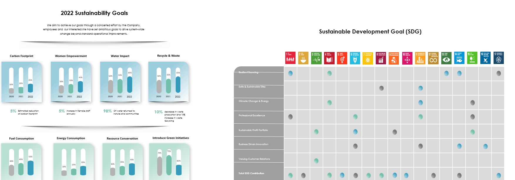 Sustainable Development Goal (SDG)